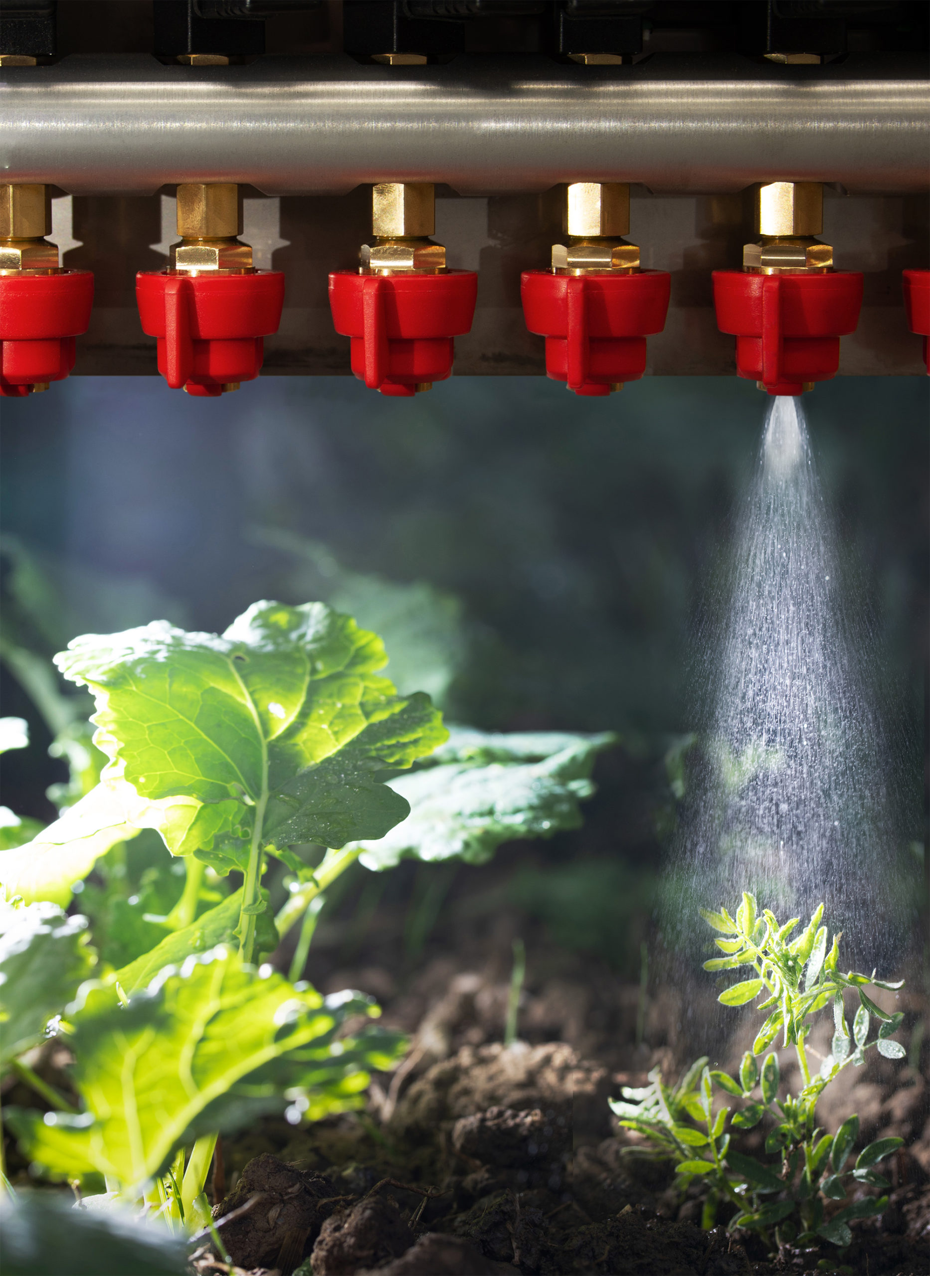 Ecorobotix - Swiss Cleantech Report